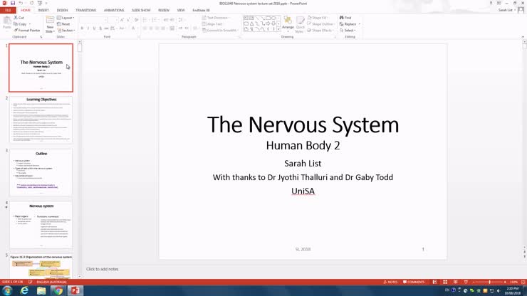 BIOL 1048 (SP5 - 2018) Human Body 2 (Class 50813) 2018-08-10