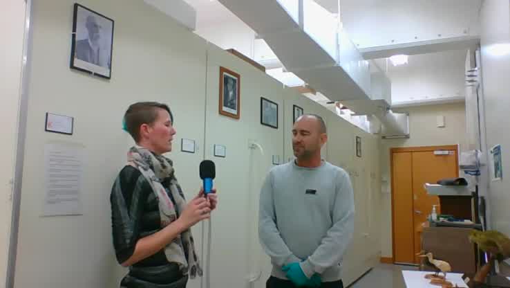 Auckland Museum Land Vertebrates Collection Tour with Matt Rayner