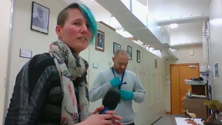 Auckland Museum Land Vertebrates Collection Tour with Matt Rayner