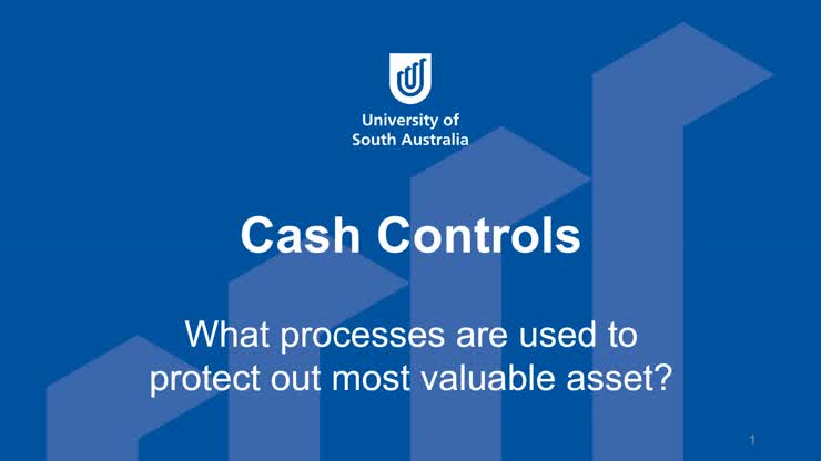 Topic 7 (i) - Cash Controls - Overview