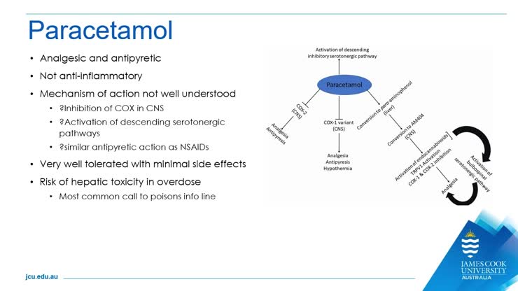 Pain Video 3 - Paracetamol