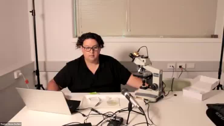 Lab 2 Online Lab recording