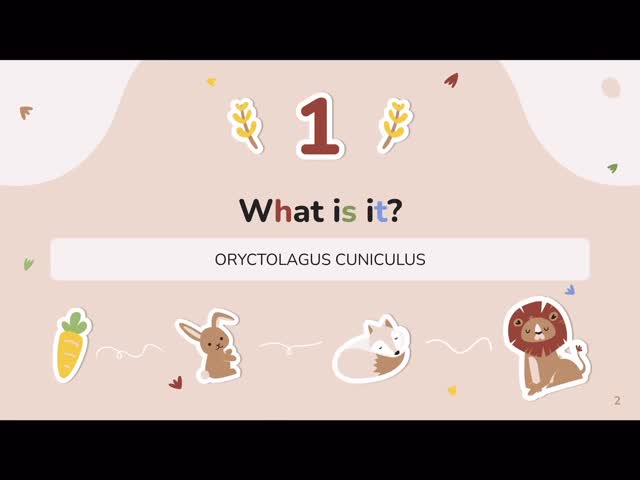 Rabbit overpopulation of Victoria - EES102