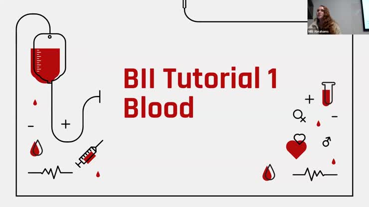 BII Tutorial 1