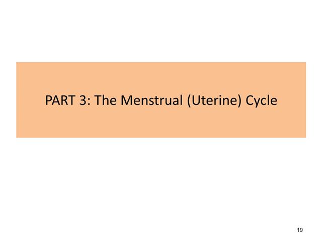 UniSA_BIOL1050_Week 11.6_HP101 Reproductive System 2 - Part 3