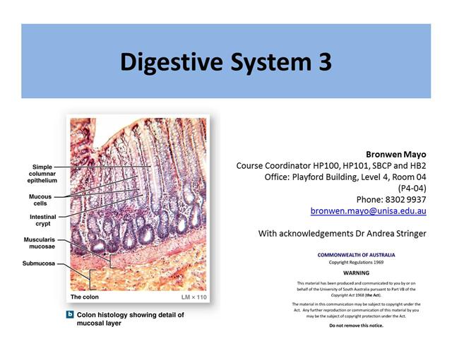 BIOL 1049 Digestive System 3 - Liver