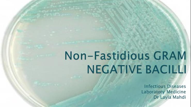 Other non-fastidious GNB