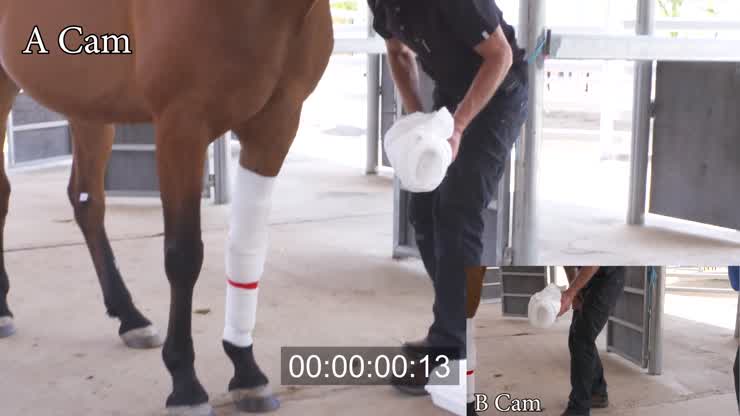 Application of a modified Robert Jones