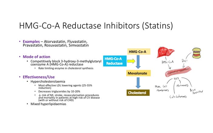 MD2012 Week 2 Statins Pharmacology Hyperlipidaemia Smithson