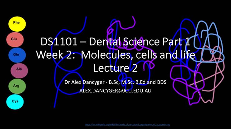 DS1101 Week 2 Lecture 2