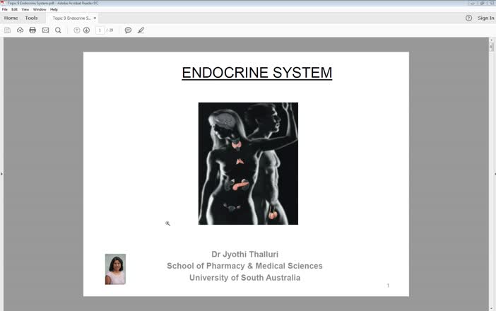 2019 Topic 8 Endocrine system Section 1