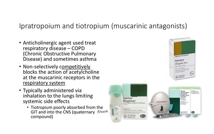 6. Ipratropium and tiotropium effect on smooth muscle of airway
