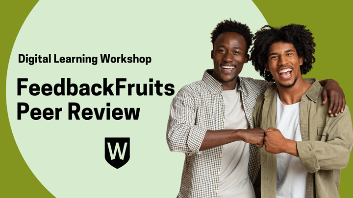 FeedbackFruits Peer Review Workshop