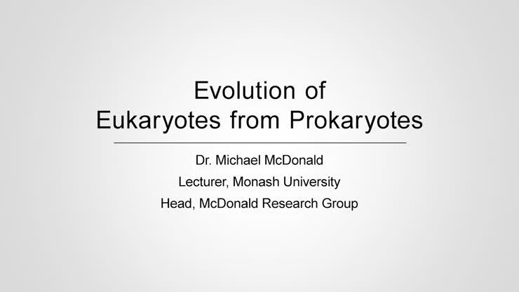 Evolution of Eukaryotes from Prokaryotes