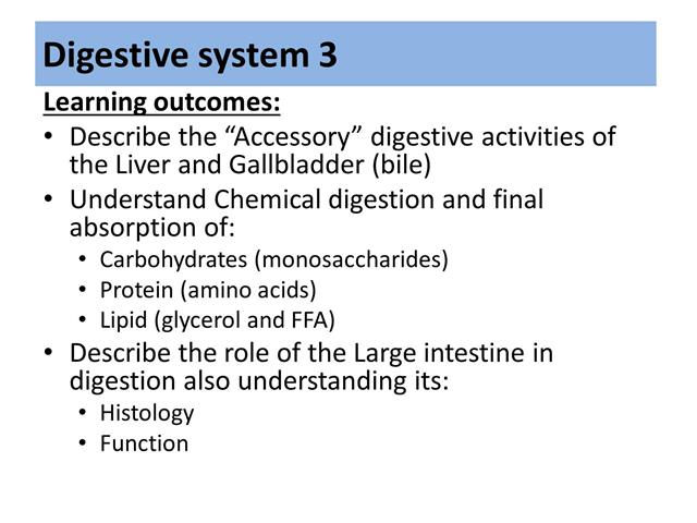 Biology B Digestive System 3 - Part 1