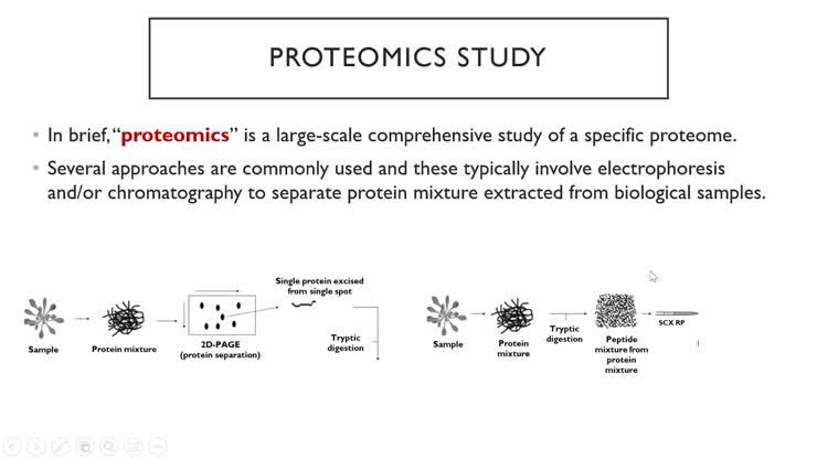 Proteomics Study part 2 (slides 9-17)