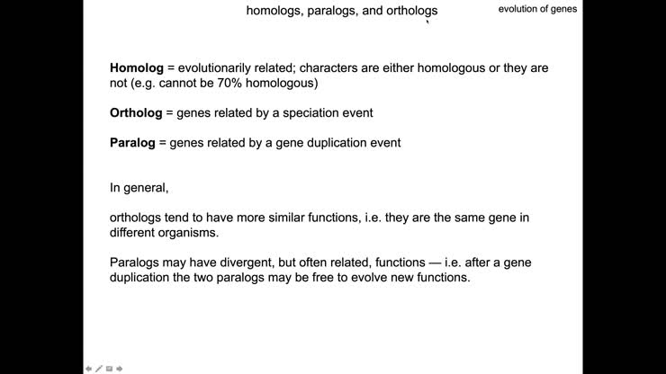 Thinking about homology orthology and paralogy