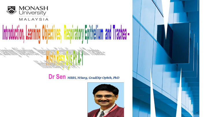 Intro Learning Objectives Respiratory Epi and Trachea - Histo Resp Sys ...
