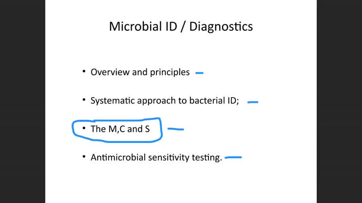 Microbiology - Microbial ID and Antimicrobial susceptibility testing