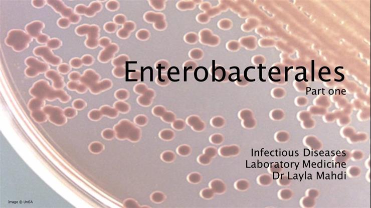 Enterobacterales-Part one
