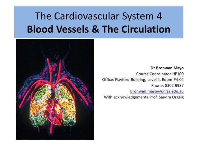 HP100 Cardiovascular System Lecture 4 - Part 1