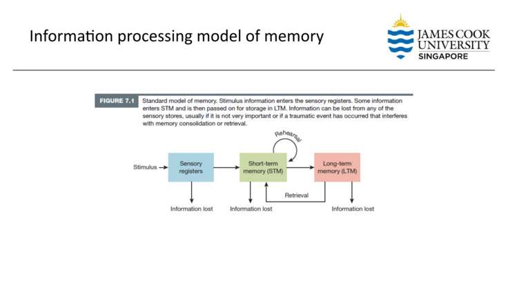 ‘Old’ information processing model of memory