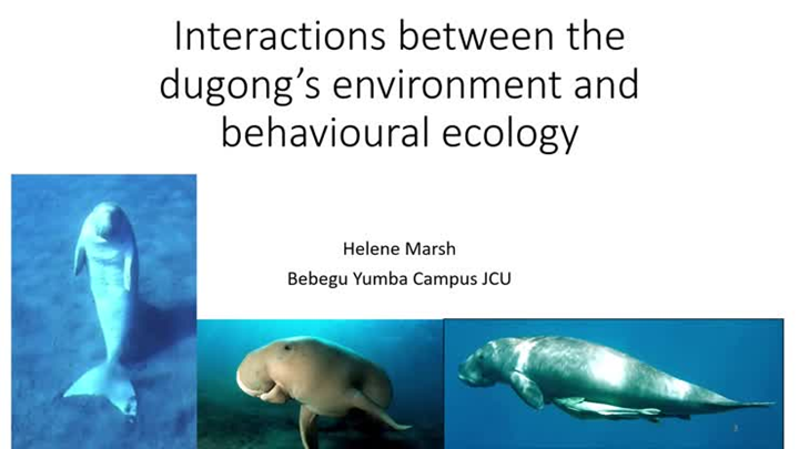 Seminar 22: nteractions between Dugong biology & the biophysical ...