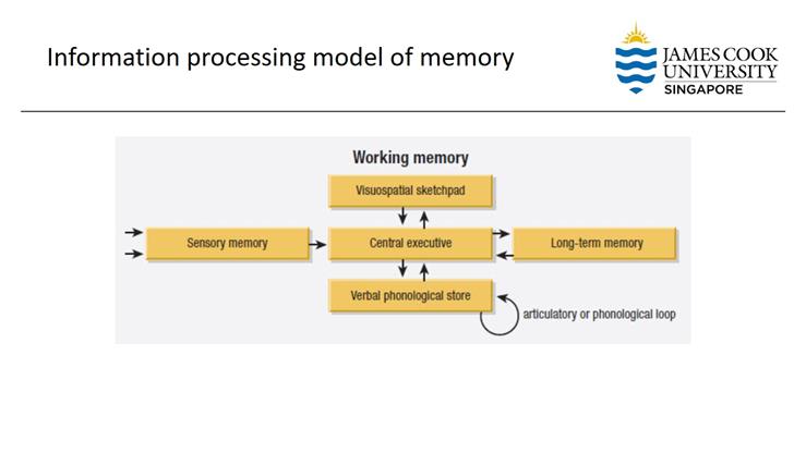 ‘New’ information processing model of memory