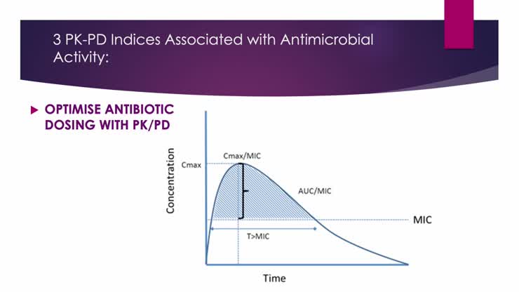 Introduction to PK -PD Antimicrobial Profiles