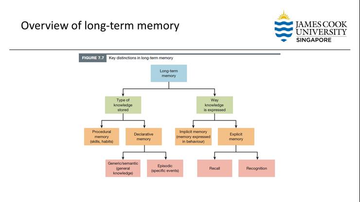 Long term memory