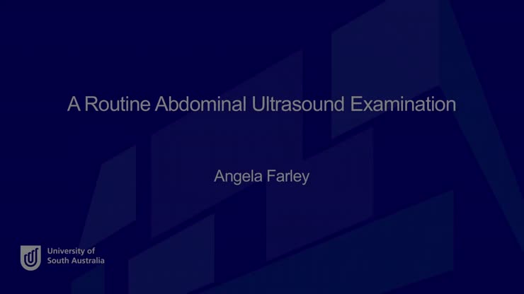 Abdominal Scan