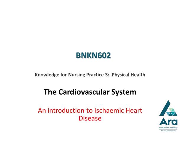 Thursday, 13 February 2020 at 11:56:04 AM