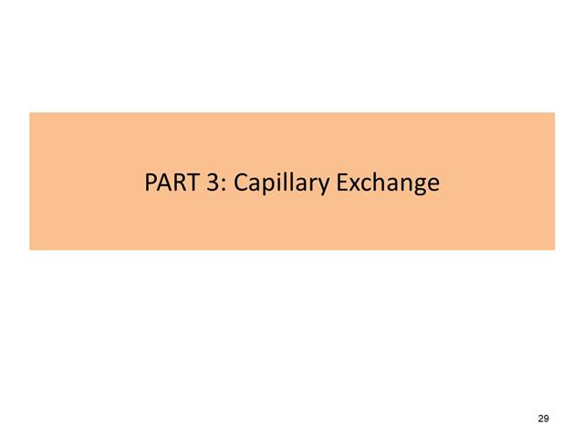 HP100 Cardiovascular System Lecture 4 - Part 3