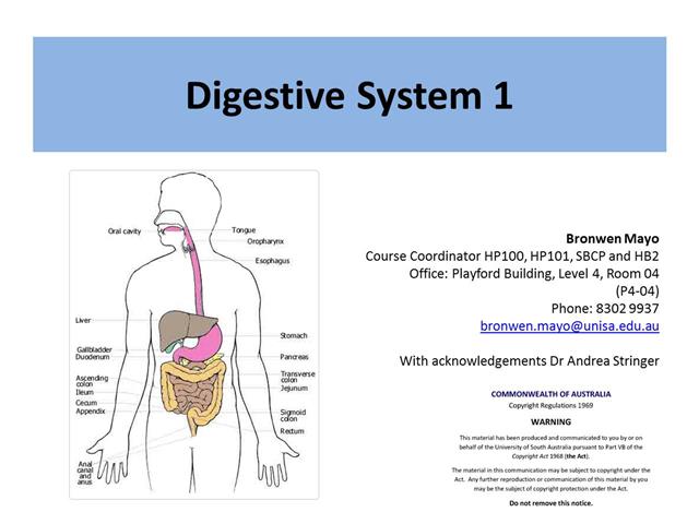 BIOL 1049 Digestive System 1 - Major functions and Anatomy