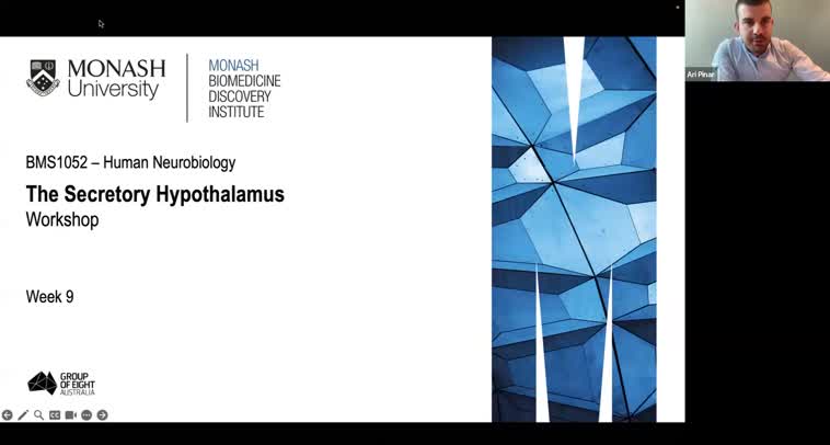 BMS1052_Lesson9_Workshop_Mon